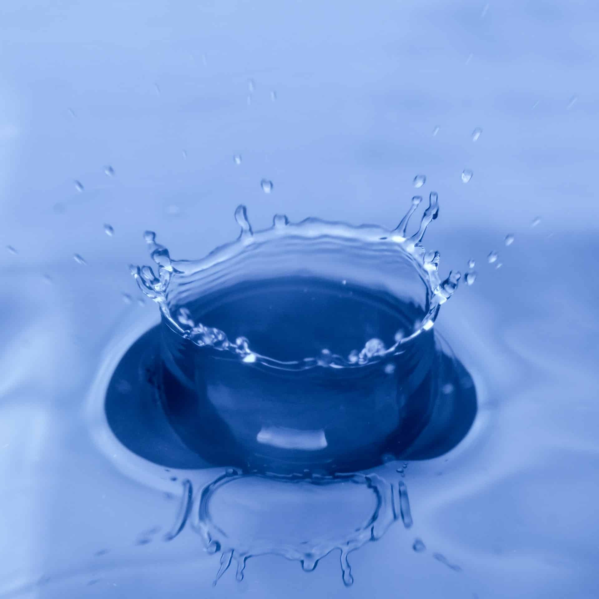 Circulair water op LAB | LAB Lelystad